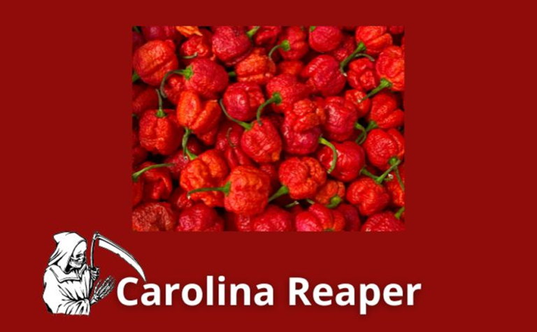 10 Best Examples of Fruits That Is Spicy - Foodsalternative