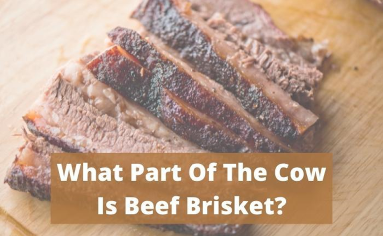 What Part Of The Cow Is Beef Brisket? - Foodsalternative
