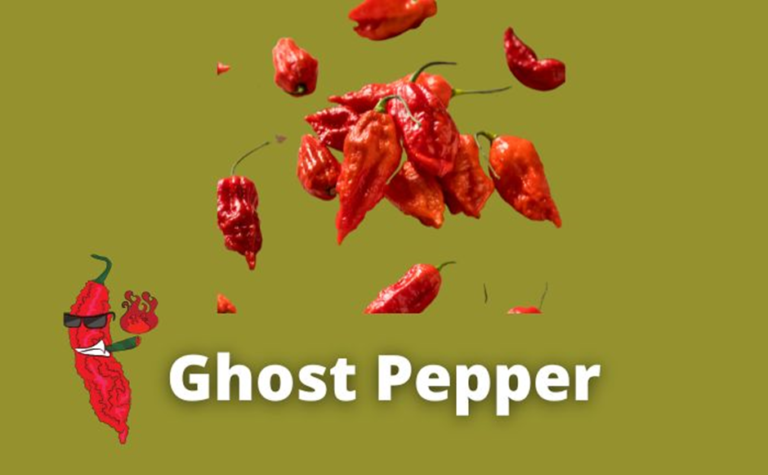 10 Best Examples of Fruits That Is Spicy - Foodsalternative